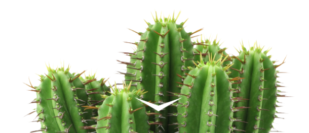 Urocit-K – (potassium citrate), Kidney Stone Treatment